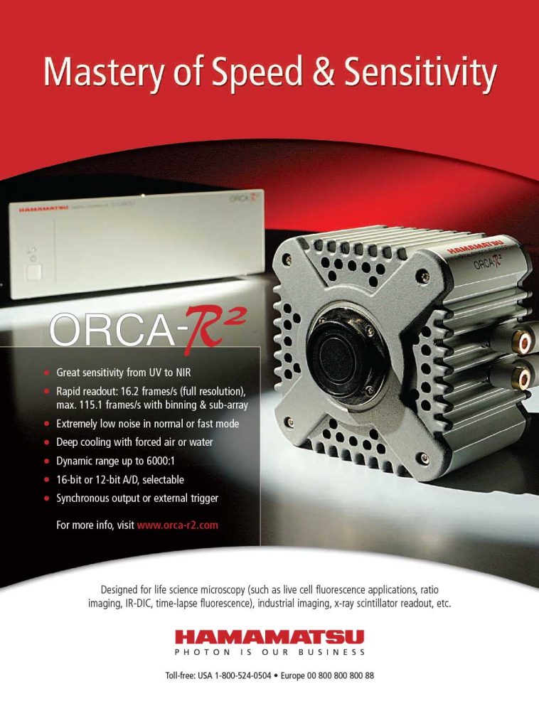 Hamamatsu ORCA R2 Print Ad - RgB Design Group LLC